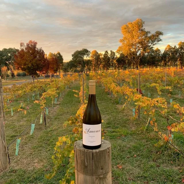 32 best Orange Wineries and Cellar Doors to visit in 2026
