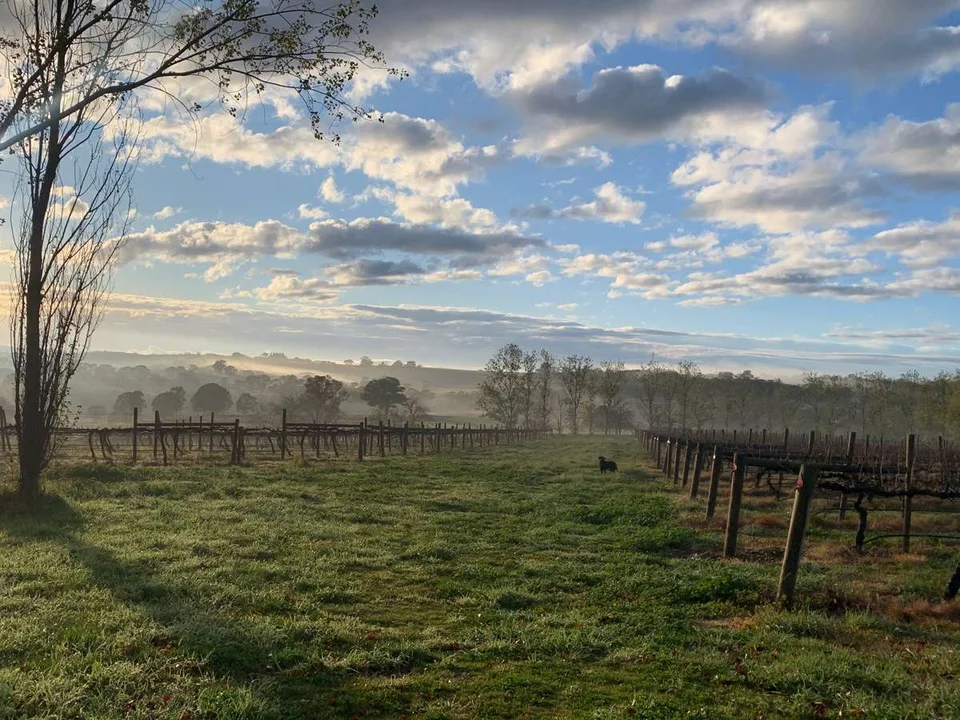 32 best Orange Wineries and Cellar Doors to visit in 2026