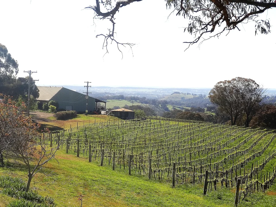 32 best Orange Wineries and Cellar Doors to visit in 2026