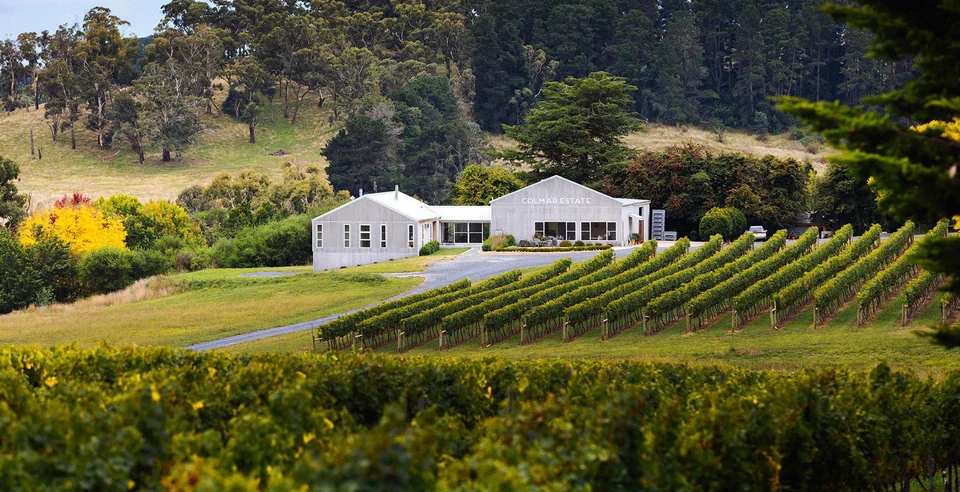 32 best Orange Wineries and Cellar Doors to visit in 2026