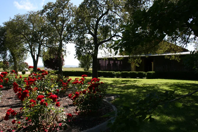 31 best Mudgee Wineries and Cellar Doors to visit in 2026